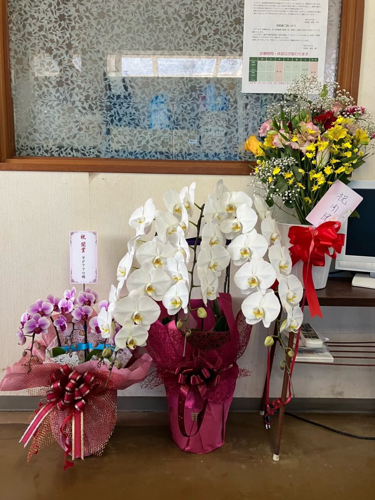 無事開院しました！ | りんごの森動物病院